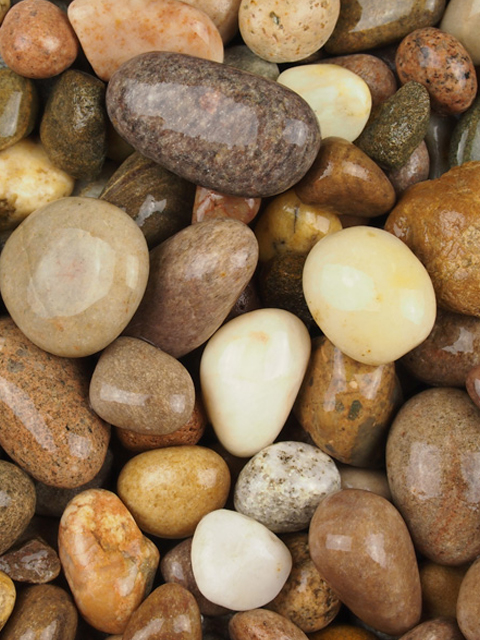 Wight Compost Booking System - Bookings